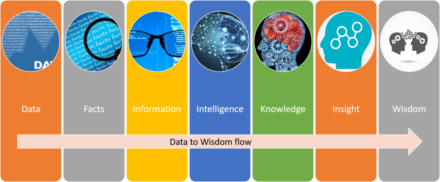 A Path to Wisdom Redefined - Cannon-Lear Enterprises LLC